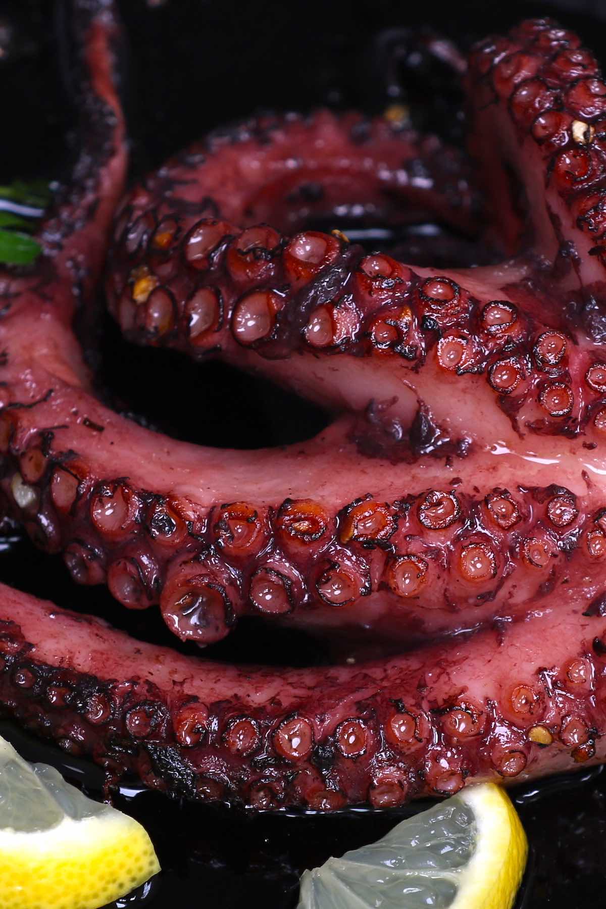 Tender Sous Vide Octopus Recipe