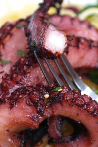 Tender Sous Vide Octopus Recipe