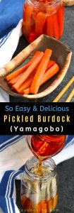 What is Yamagobo and Easy Yamagobo Recipe