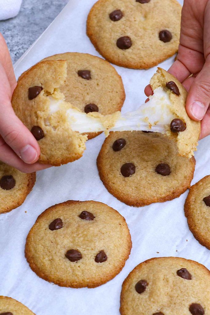 Chocolate Chip Mochi Cookies (With Video)