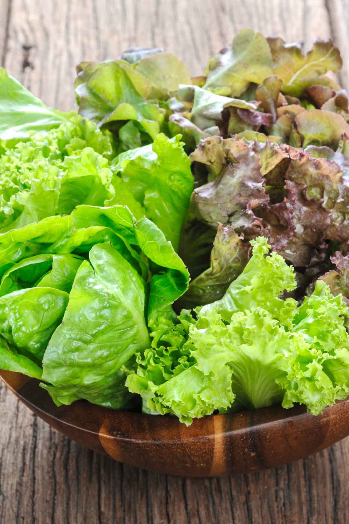 20 Foods that Start with L (Fruits, Vegetables, Breakfast, and More)