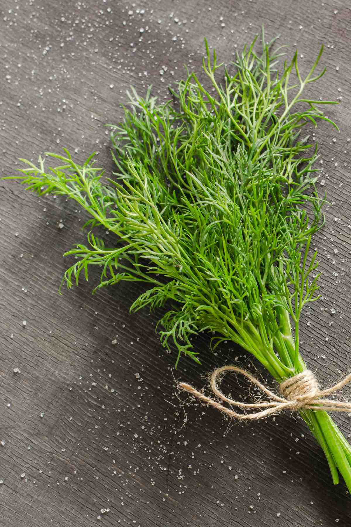 24 Popular Foods that Start with D (Vegetables, Fruits, Snacks, and More)