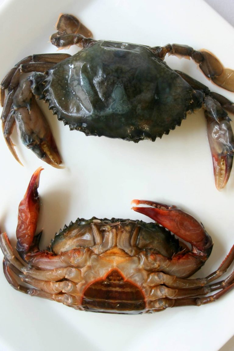 Spider Roll Sushi (Soft Shell Crab Sushi)