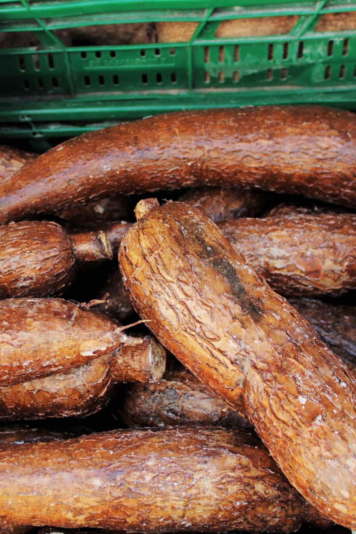 18 Popular Foods that Start with Y (Vegetables, Fruits, Breakfast and More)