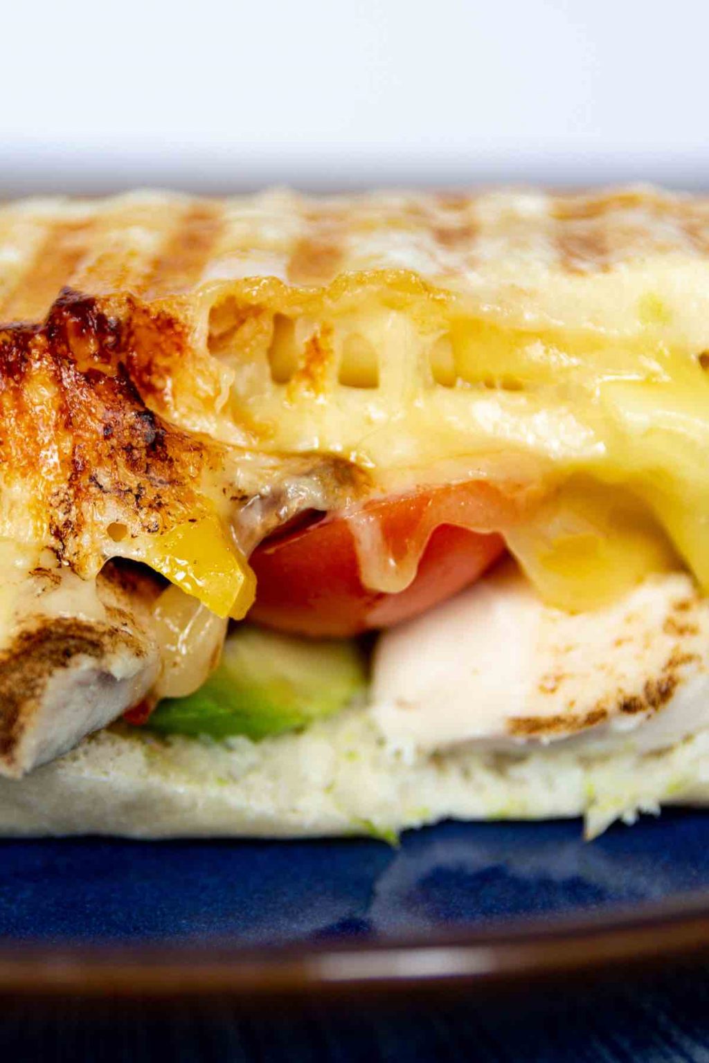 13 Best Panini Recipes That Are Easy to Make at Home - IzzyCooking