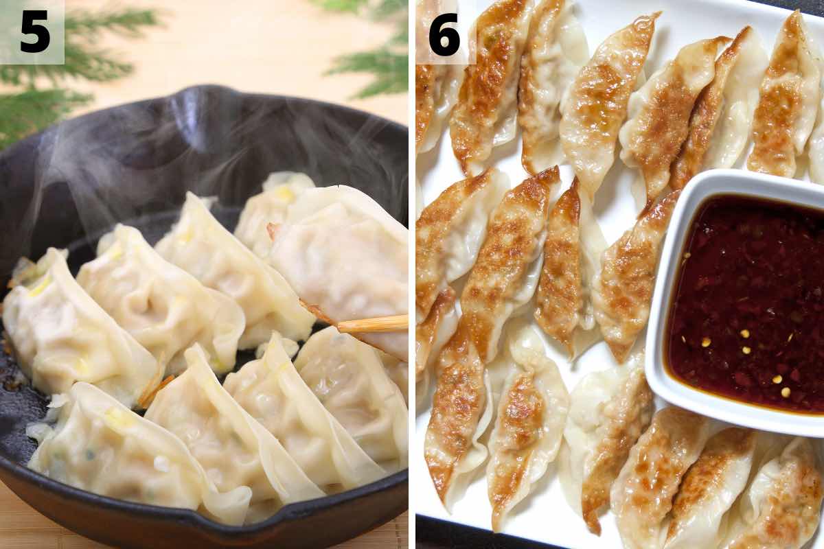 Peking Ravioli (Pan Fried Peking Dumplings) - IzzyCooking
