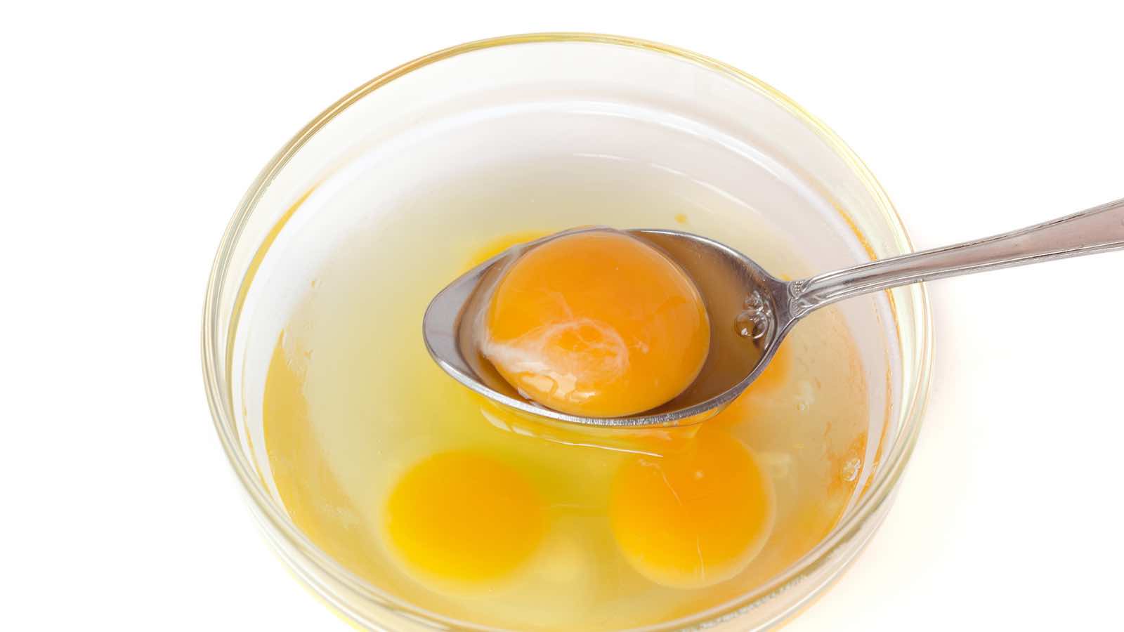 How To Pasteurize Eggs At Home 55 OFF Www pinnaxis