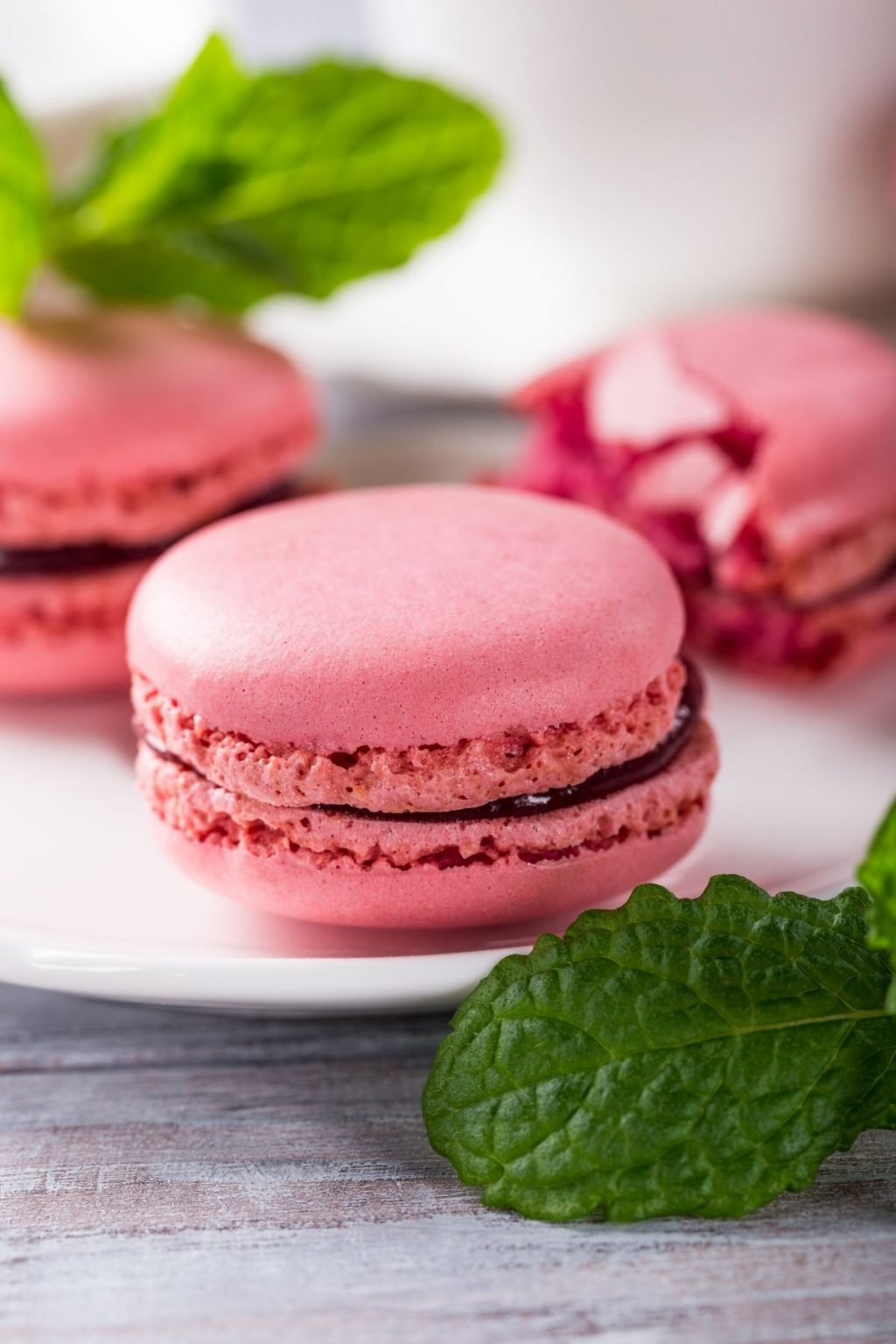 16 Popular Macaron Flavors (Best French Macaron and Filling Recipes ...