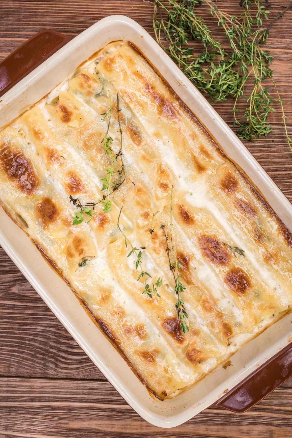 10 Best Cannelloni Pasta Recipes - IzzyCooking
