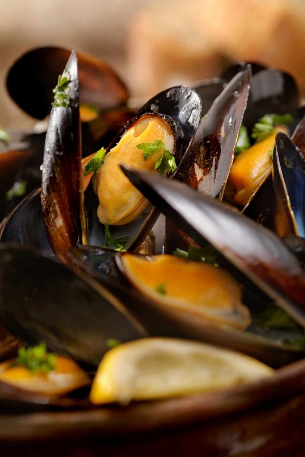 16 Popular Steamer Recipes - IzzyCooking