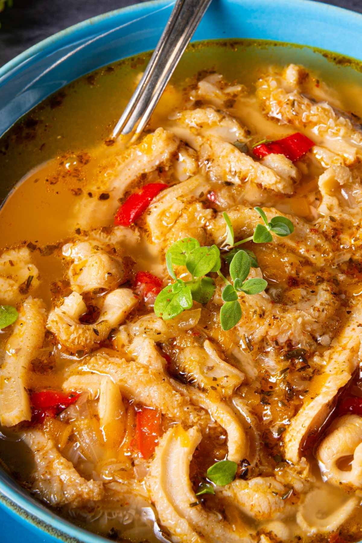 Tripe Recipes | Deporecipe.co Tripe Recipes | Deporecipe.co