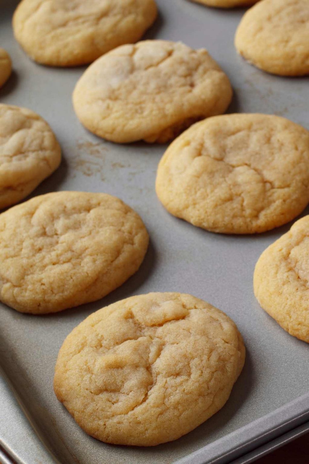 21 Best Low-Calorie Cookies - IzzyCooking