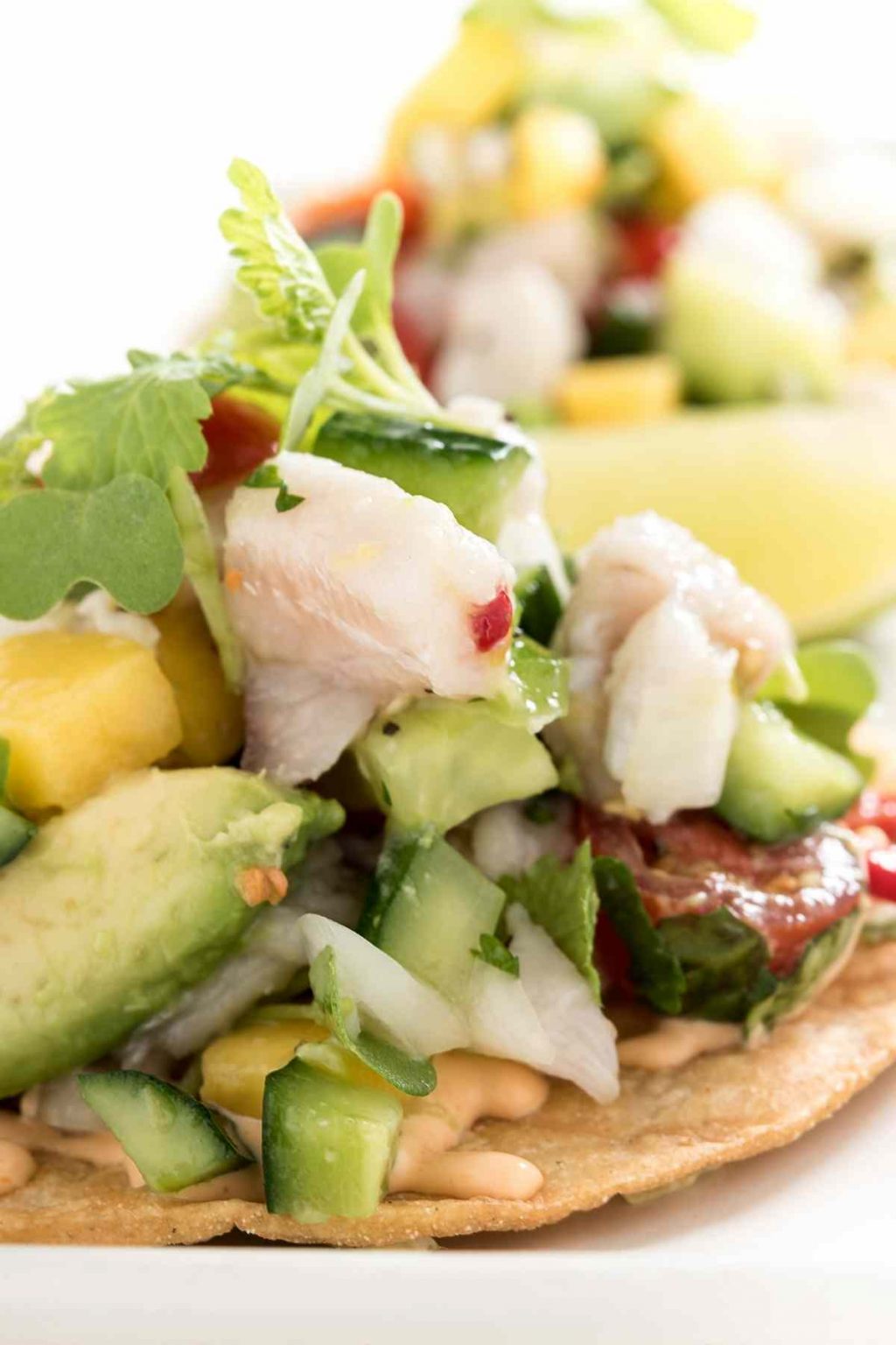 27 Delicious Red Snapper Recipes - IzzyCooking