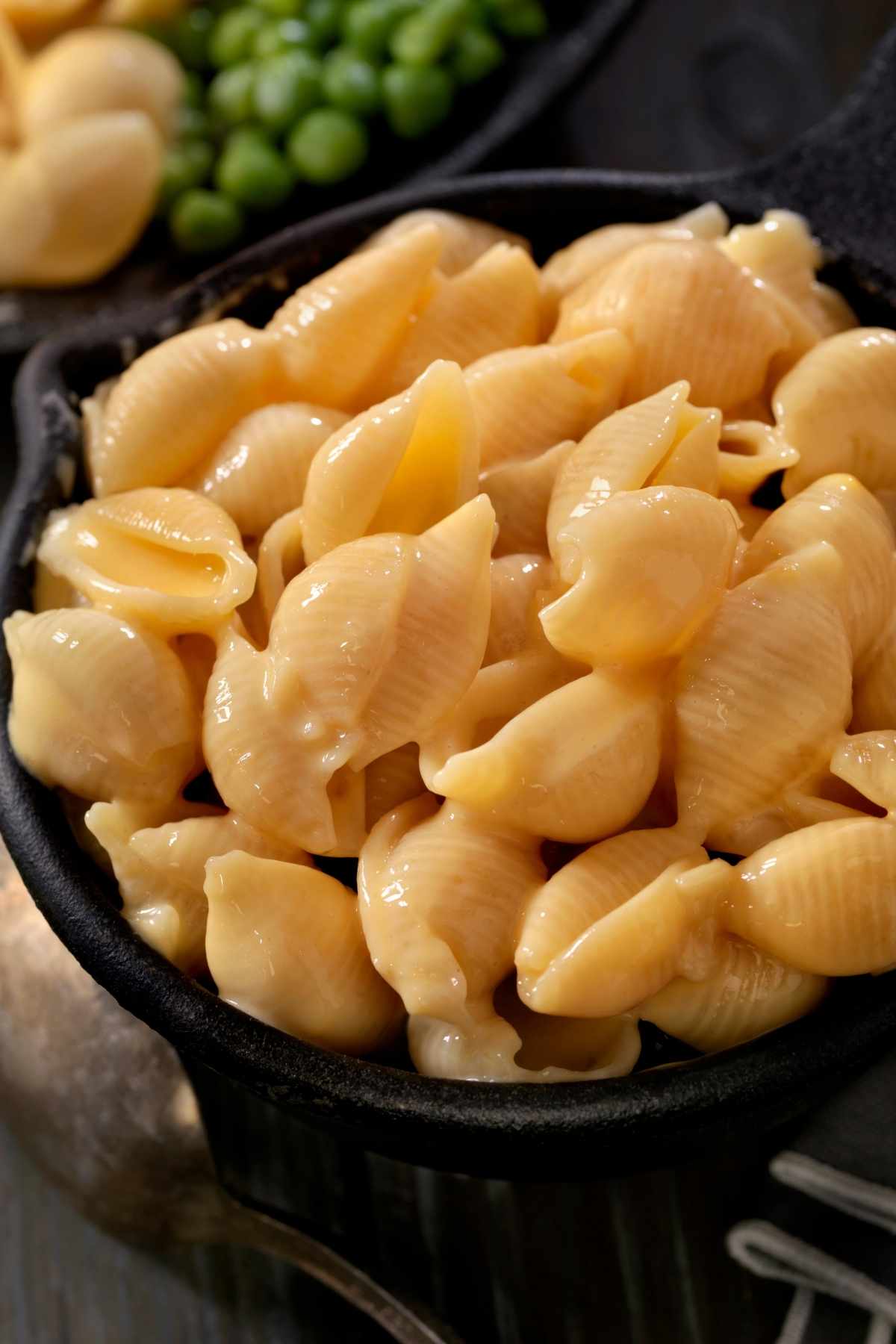 12 Best Shell Pasta Recipes - IzzyCooking