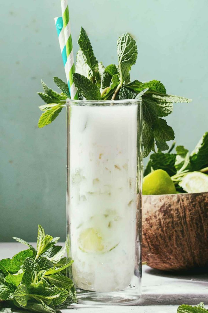 18 Best Coconut Cocktails - IzzyCooking