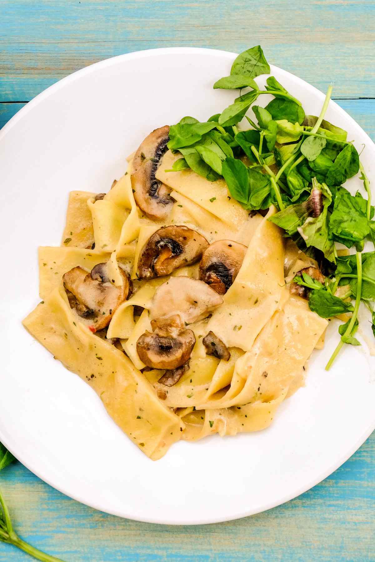 Best Pappardelle Pasta Recipes - IzzyCooking