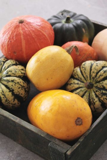 Is Squash Keto (Carbs in Squash and Low-Carb Keto Squash Recipes ...