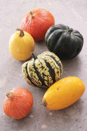 Is Squash Keto (Carbs in Squash and Low-Carb Keto Squash Recipes ...